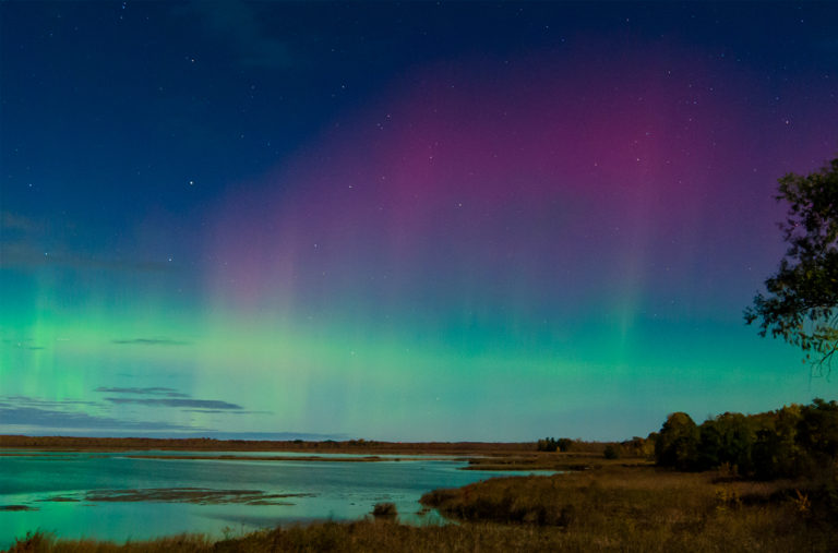 Full Frame vs Crop Sensor: Is Full Frame Worth The Extra Cost? – Dark ...